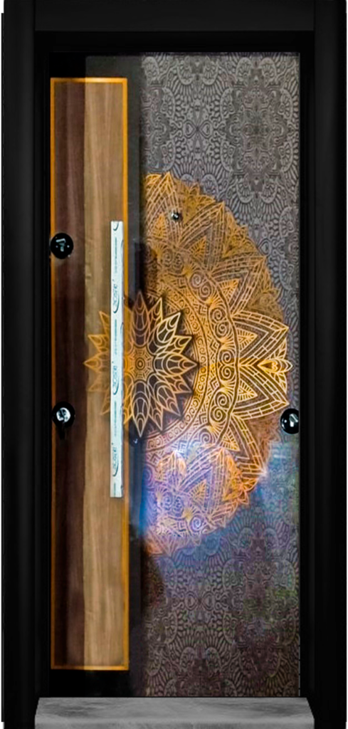 MED 100 - Medico Steel Door - Medico Steel Door
